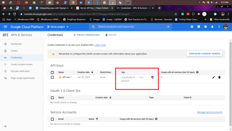 Tailored Marker Pins for React Google Map