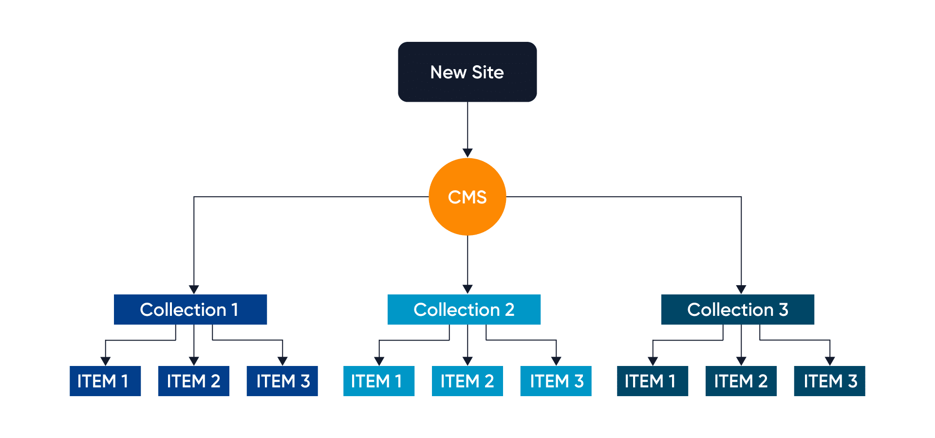 Introduction To Webflow CMS l MindBowser